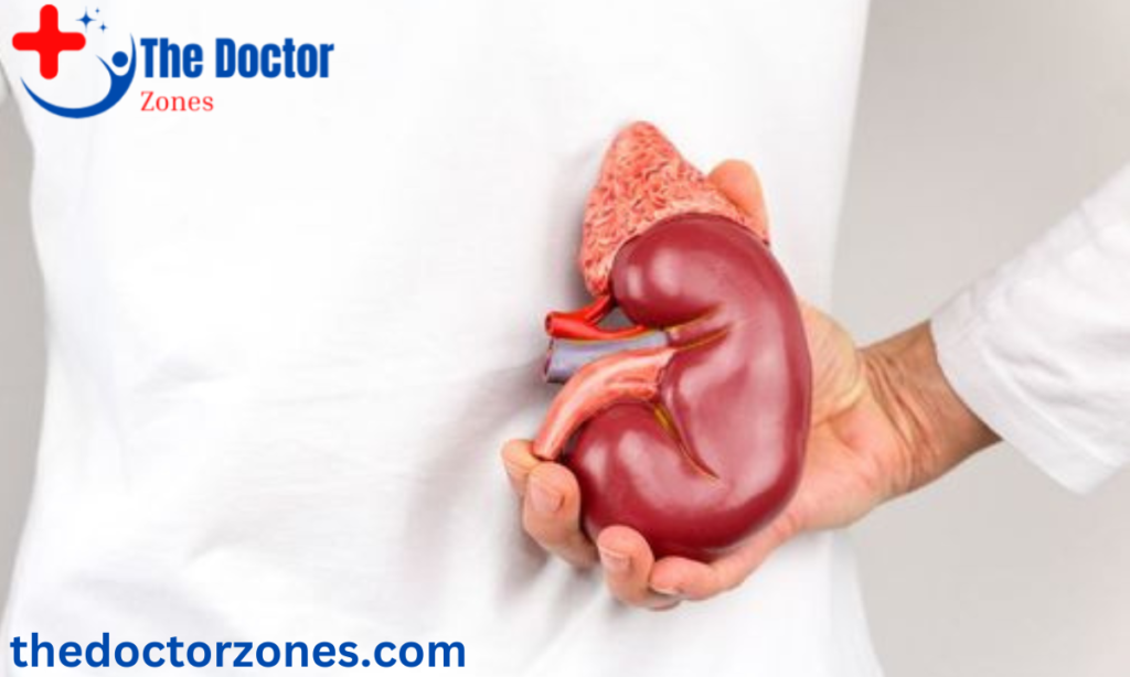 Kidney Cancer: How I Found Out I Had Kidney Cancer - thedoctorzones